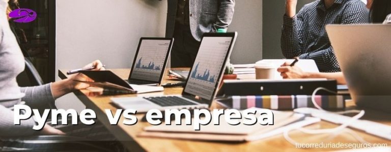Diferencia entre Pyme y Empresa